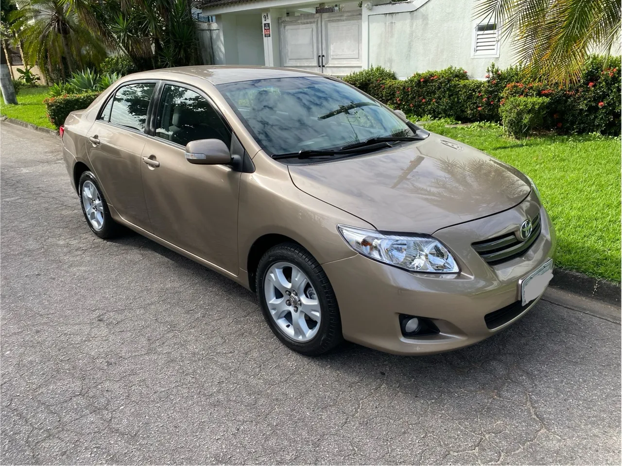 TOYOTA COROLLA 2010 Usados e Novos