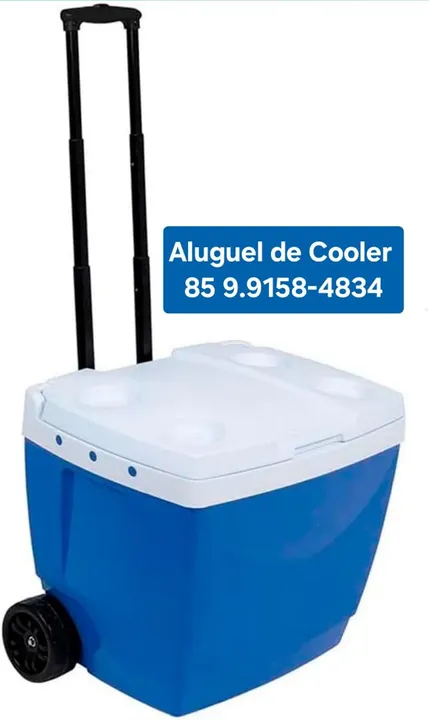 "cooler 42 litros" no Brasil