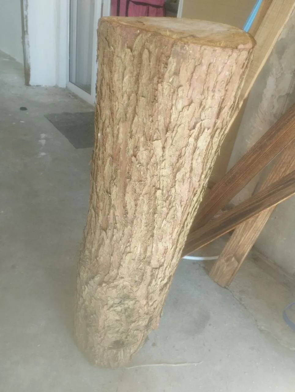 "tora de madeira" no Brasil