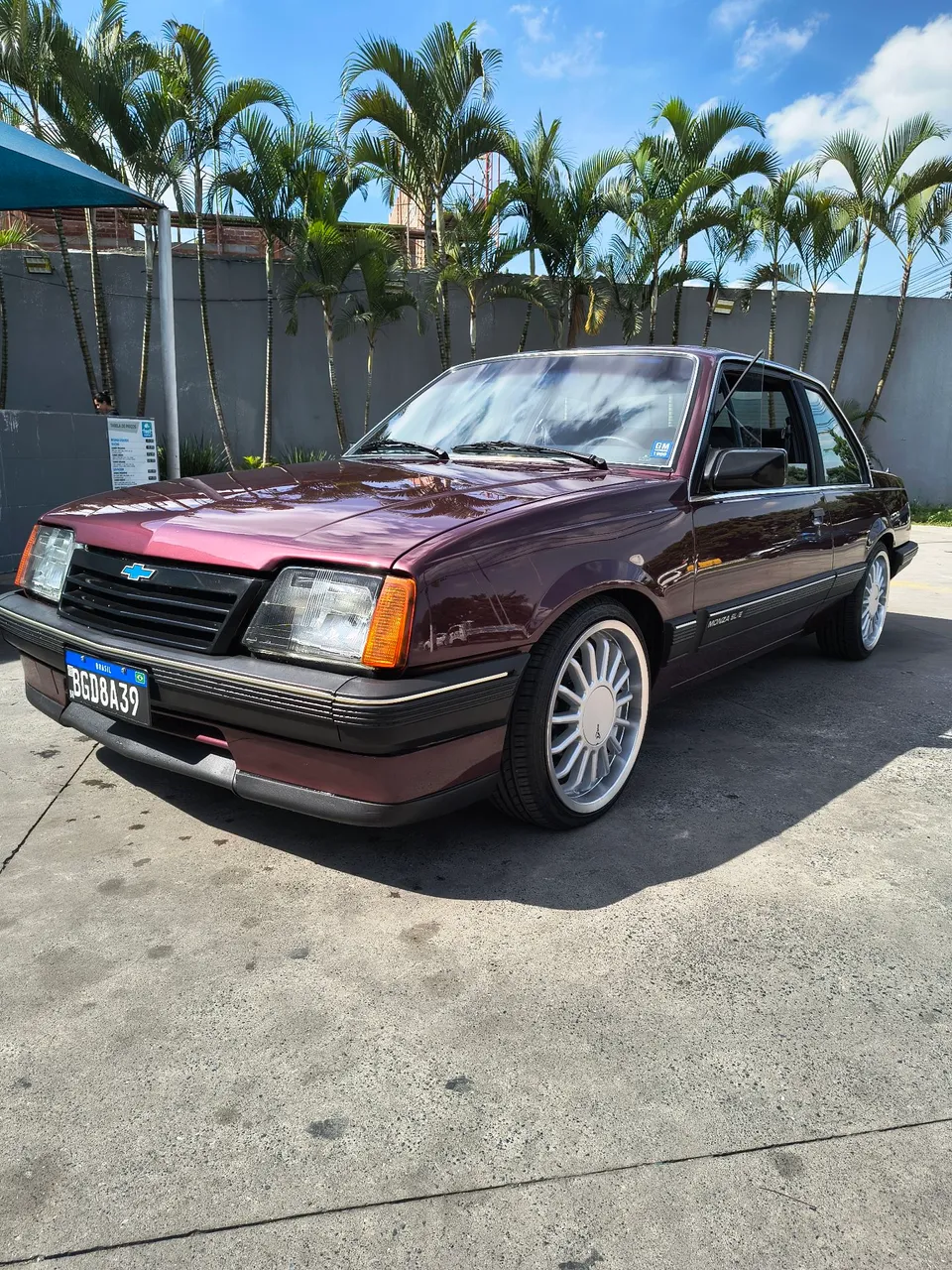 CHEVROLET MONZA Usados e Novos