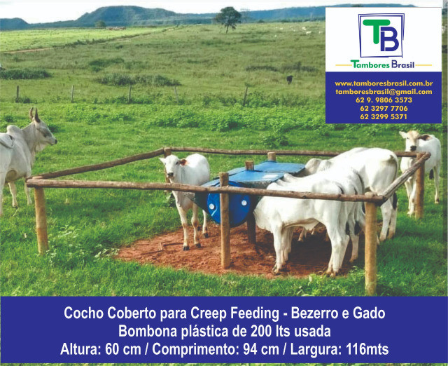 "cocho para gado" no Brasil