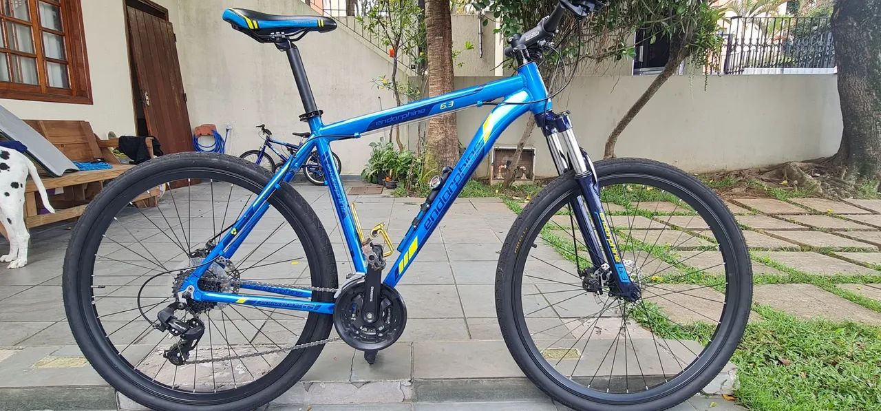 "bicicleta aro 29 gonew" no Brasil