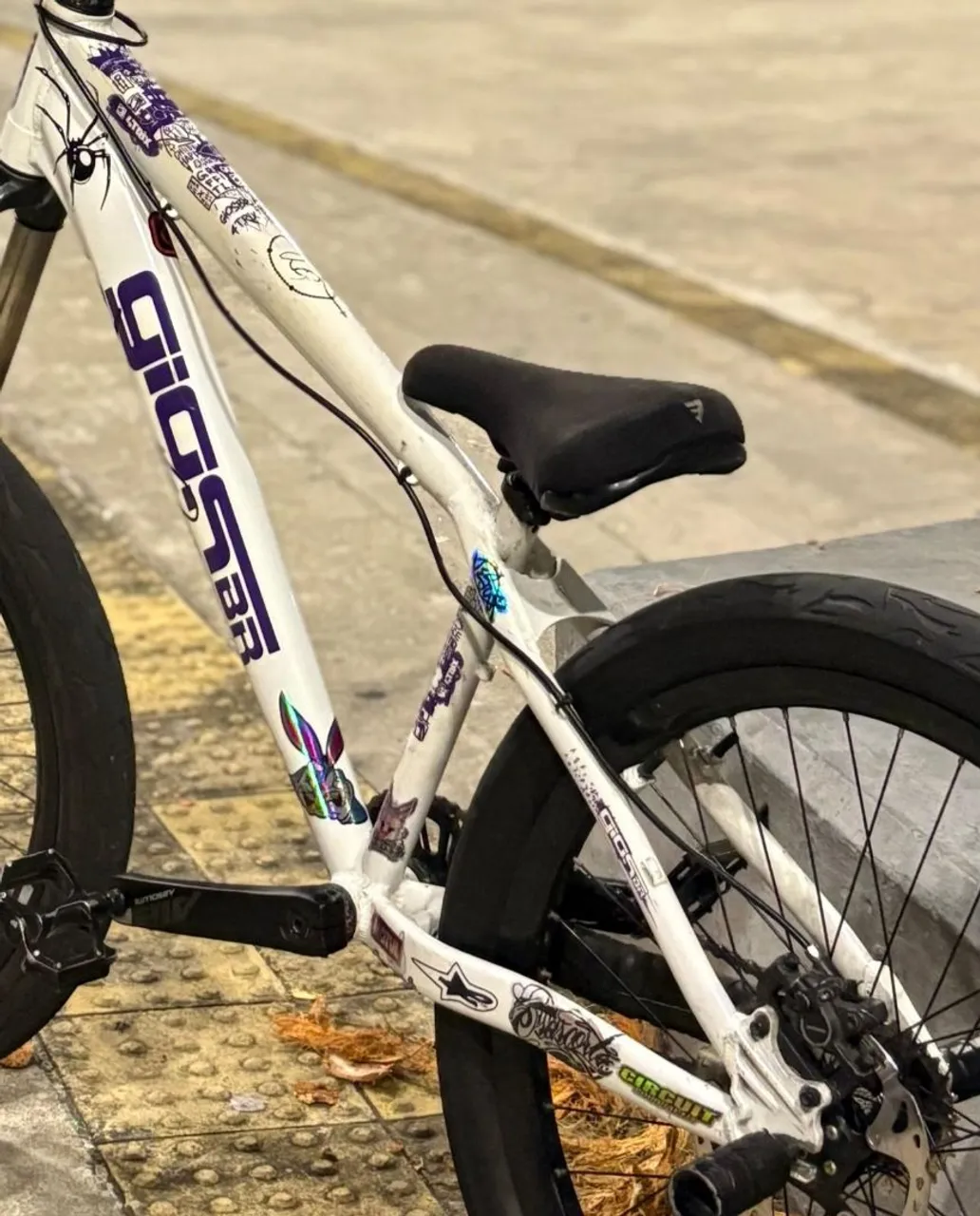 "quadro de gios" - Ciclismo no Brasil