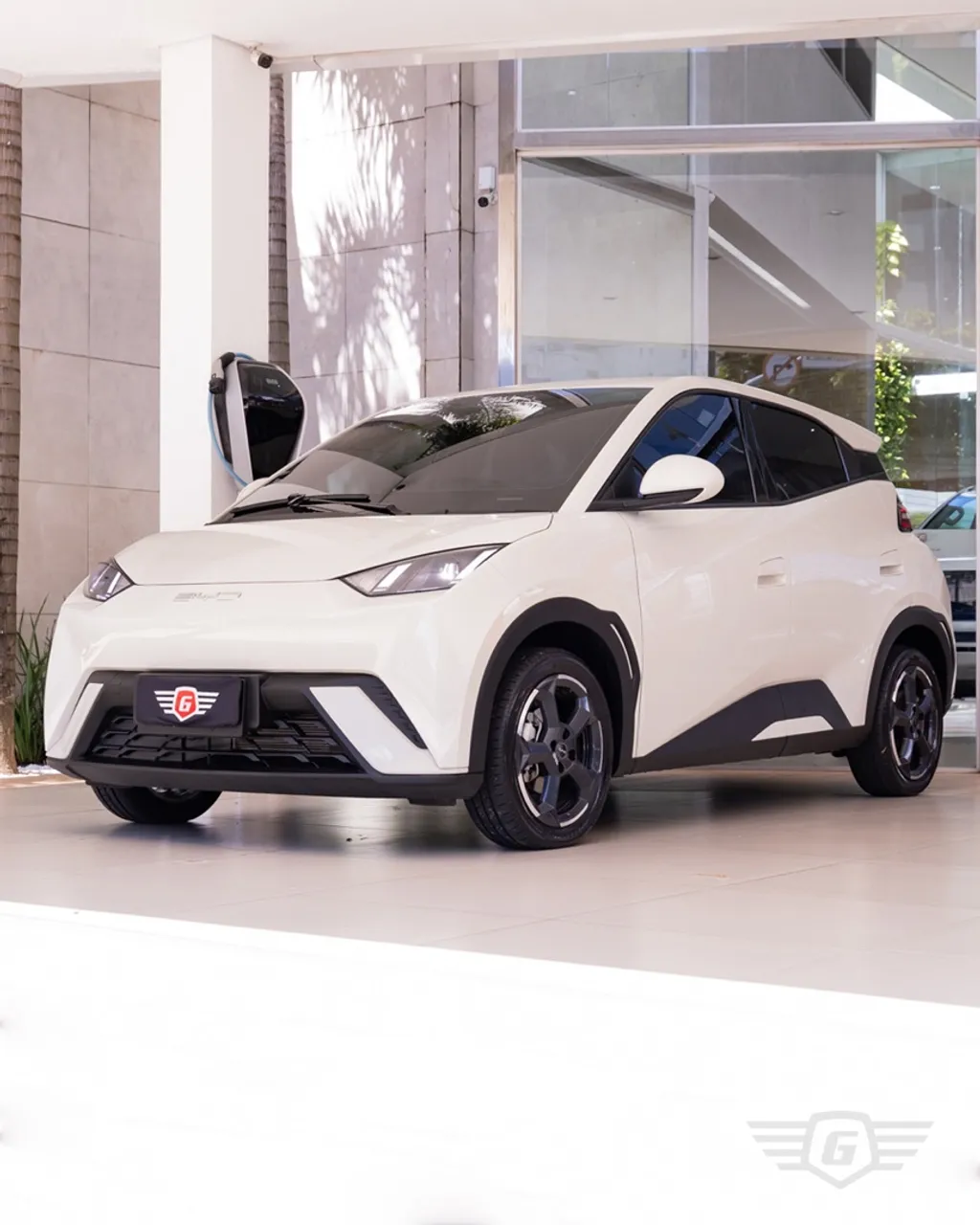 BYD DOLPHIN MINI (ELÉTRICO) Usados e Novos