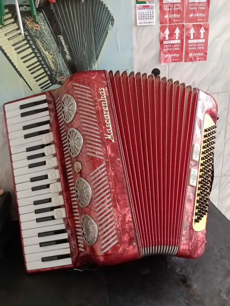 "sanfonas" no Brasil