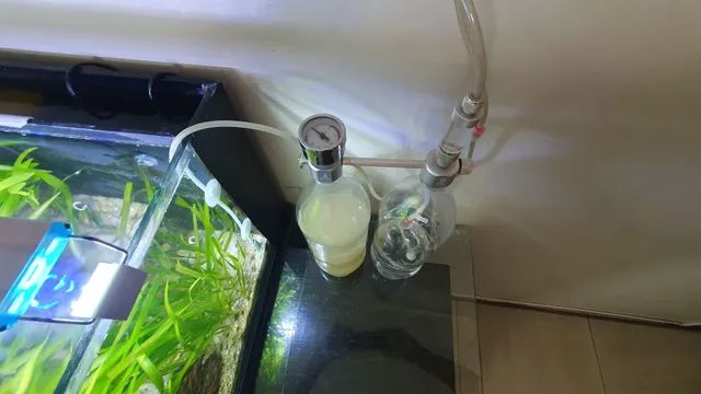 "co2 caseiro" no Brasil