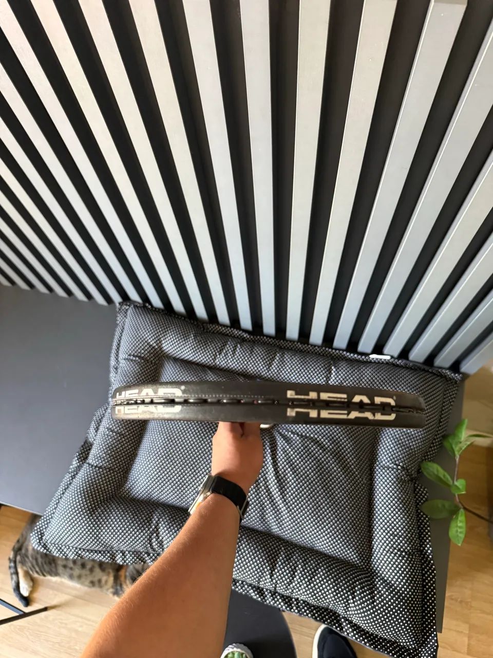 VENDO HEAD SPEED PRO LEGEND - Esportes de Quadra e Ao Ar Livre - Icaraí ...