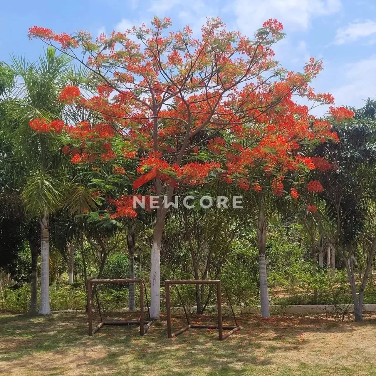 Chácara em condomínio em Gleba 14 - Vila Amanda - Baldim/MG - Terrenos ...