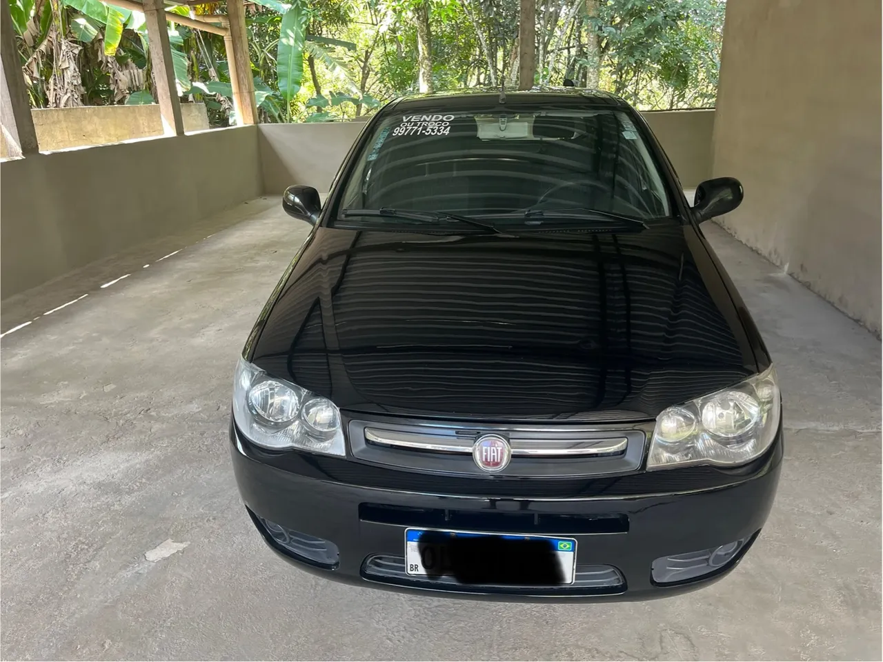 FIAT PALIO Usados e Novos