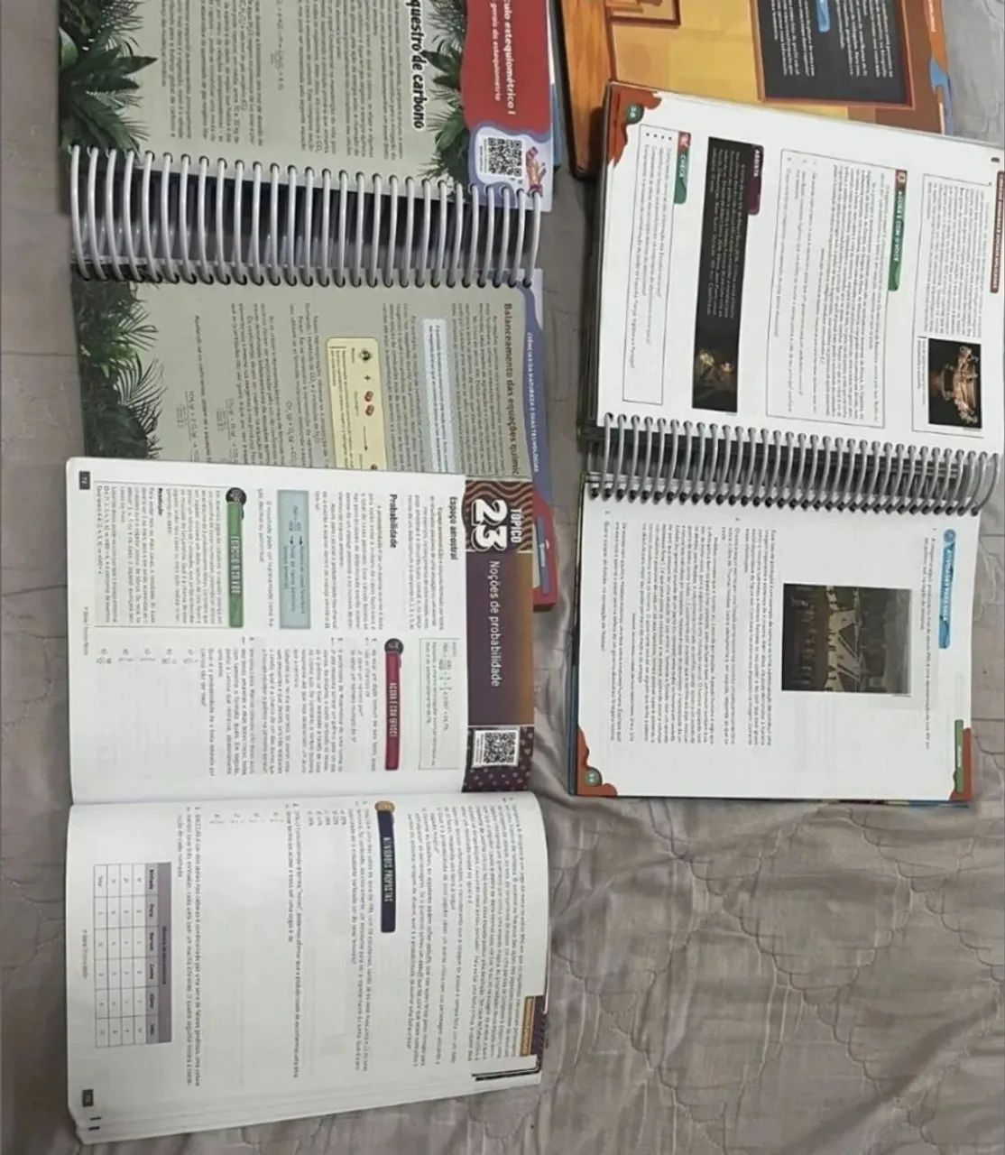 Apostilas SAS 2025 - 1º Ano - Ari de Sá - R$ 700,00 no PIX! - Livros e ...