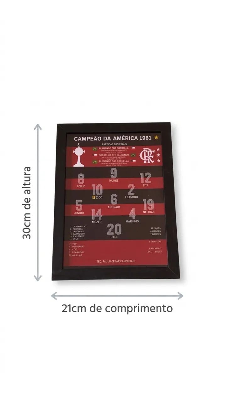 Kit Quadros Libertadores do Flamengo - Coleção Campeões da América ...