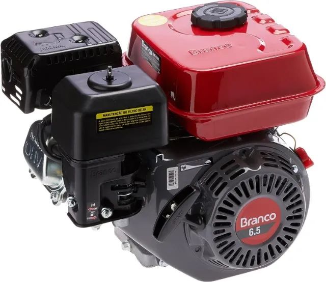 "motor a gasolina 4 tempos" no Brasil