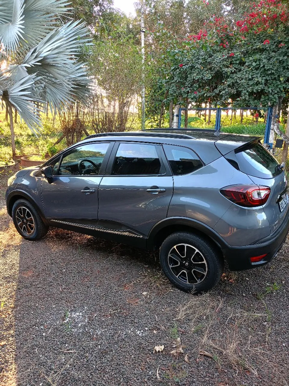 Renault Captur 2019 Usados e Novos