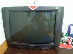 Tv Tubo 29 Polegadas comprar usado no Brasil | 106 Tv Tubo 29 Polegadas ...