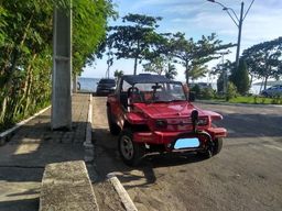 Carros BUGRE no Brasil | OLX