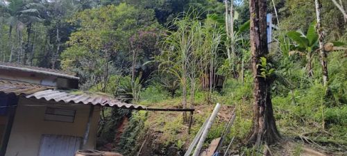 "sitio bertioga" no Brasil