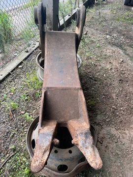 "concha cat" no Brasil