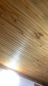 "forro de pinus" no Brasil