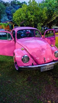 VOLKSWAGEN FUSCA 1972 Usados e Novos