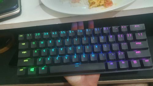 "huntsman mini" no Brasil