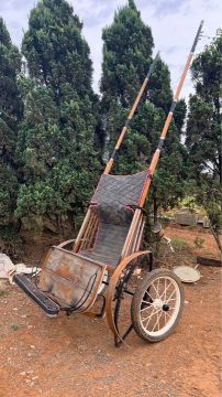 "charrete" no Brasil