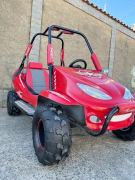 "mini buggy a gasolina" no Brasil