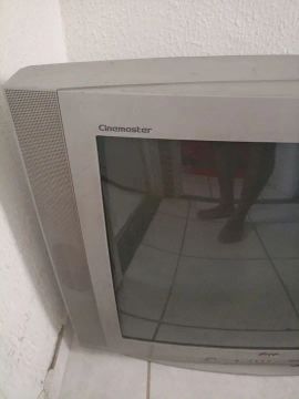 "tv tubo lg 29 polegadas" - TVs no Brasil
