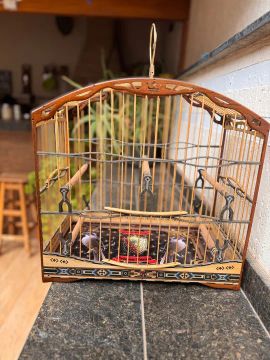 "gaiolas de trinca" - Outros animais no Brasil