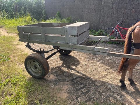 "carroca de animal" no Brasil