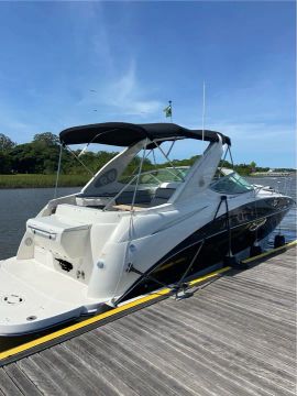 "bayliner" no Brasil