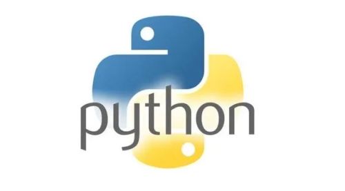 "programador python" no Brasil