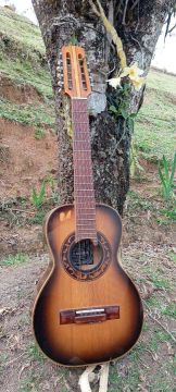 "viola xadrez" no Brasil