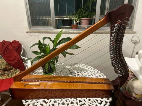 "harpa instrumento" no Brasil