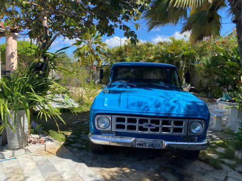 CHEVROLET D-10 Usados e Novos