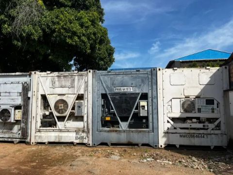 "container refrigerado" no Brasil