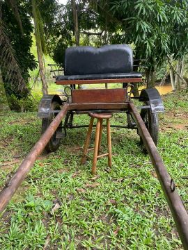 "charrete" no Brasil