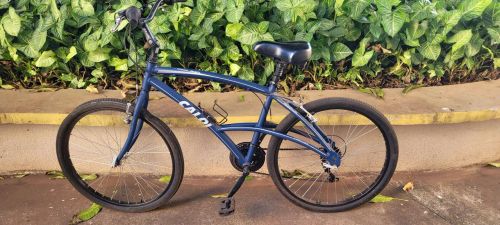 "bicicletas simples" no Brasil