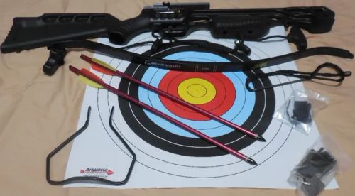 "besta flecha" no Brasil