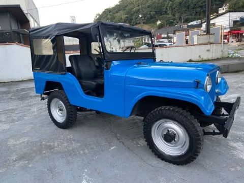 "jeep jeep antigo" no Brasil