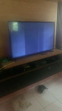 "display tv samsung 43" - TVs no Brasil