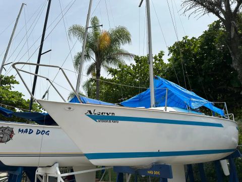 "veleiro fast" no Brasil