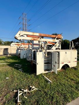 "cesto aereo" no Brasil