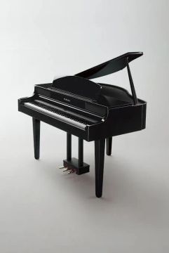 "pianos de cauda" no Brasil