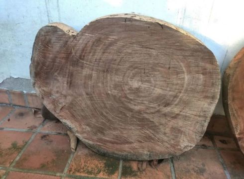 "tora de madeira" no Brasil