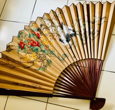 "parque do china" no Brasil