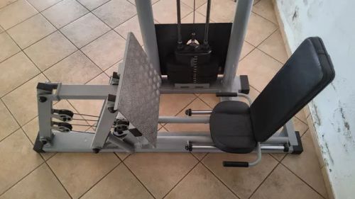 "leg horizontal" - Academia e Exercícios no Brasil