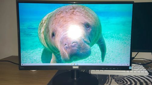 "monitores de computadores" no Brasil