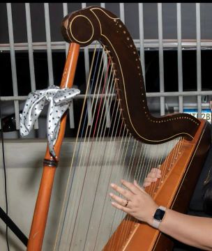 "harpa instrumento" no Brasil