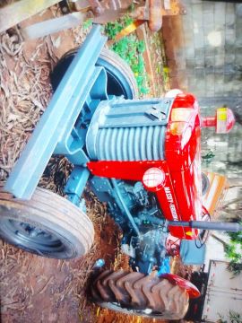 "massey ferguson 65x" - Tratores e máquinas agrícolas no Brasil