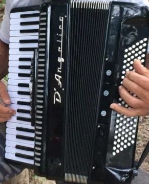 "sanfona ou acordeon" - Instrumentos musicais no Brasil